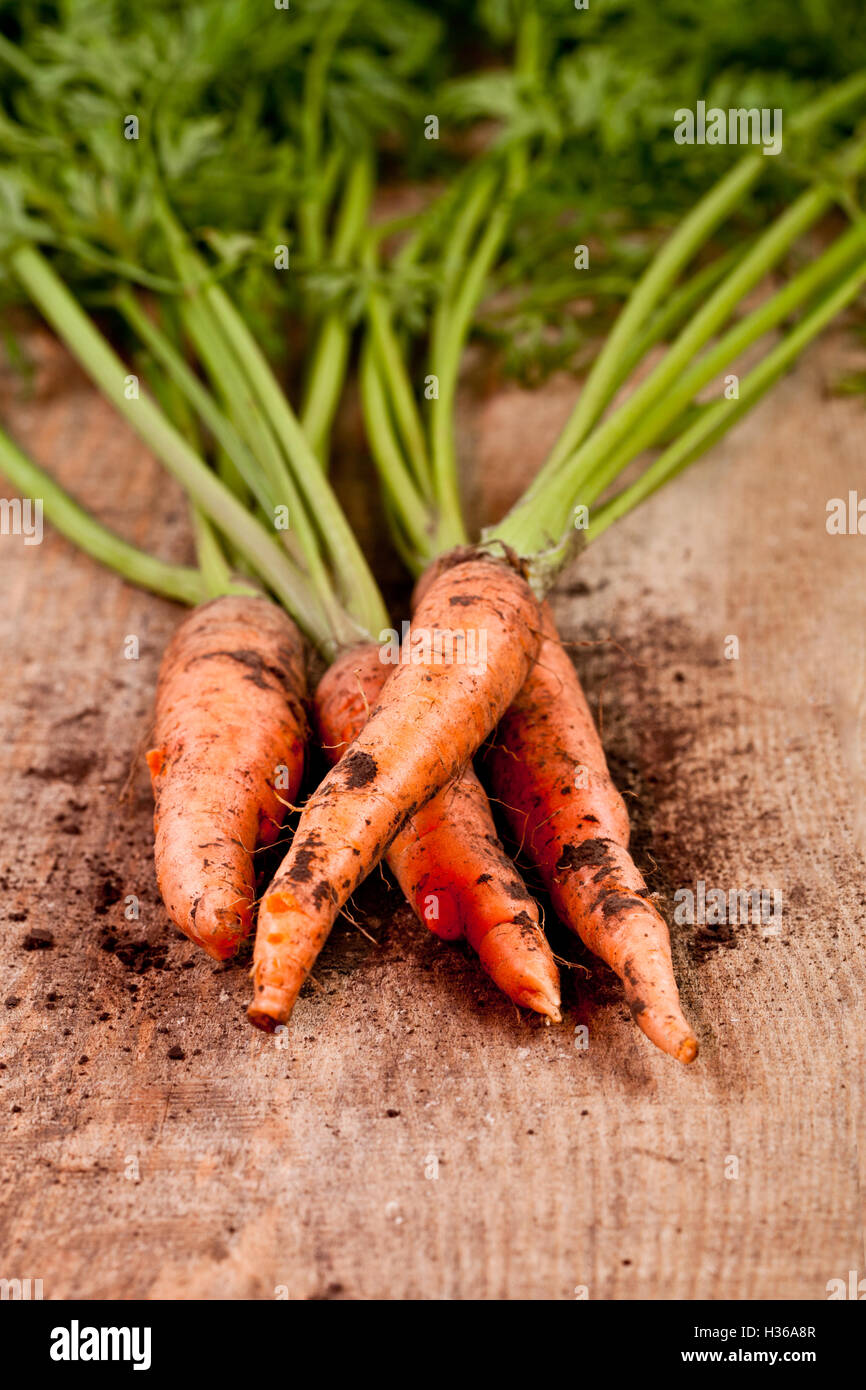 fresh carrots bunch Stock Photo - Alamy