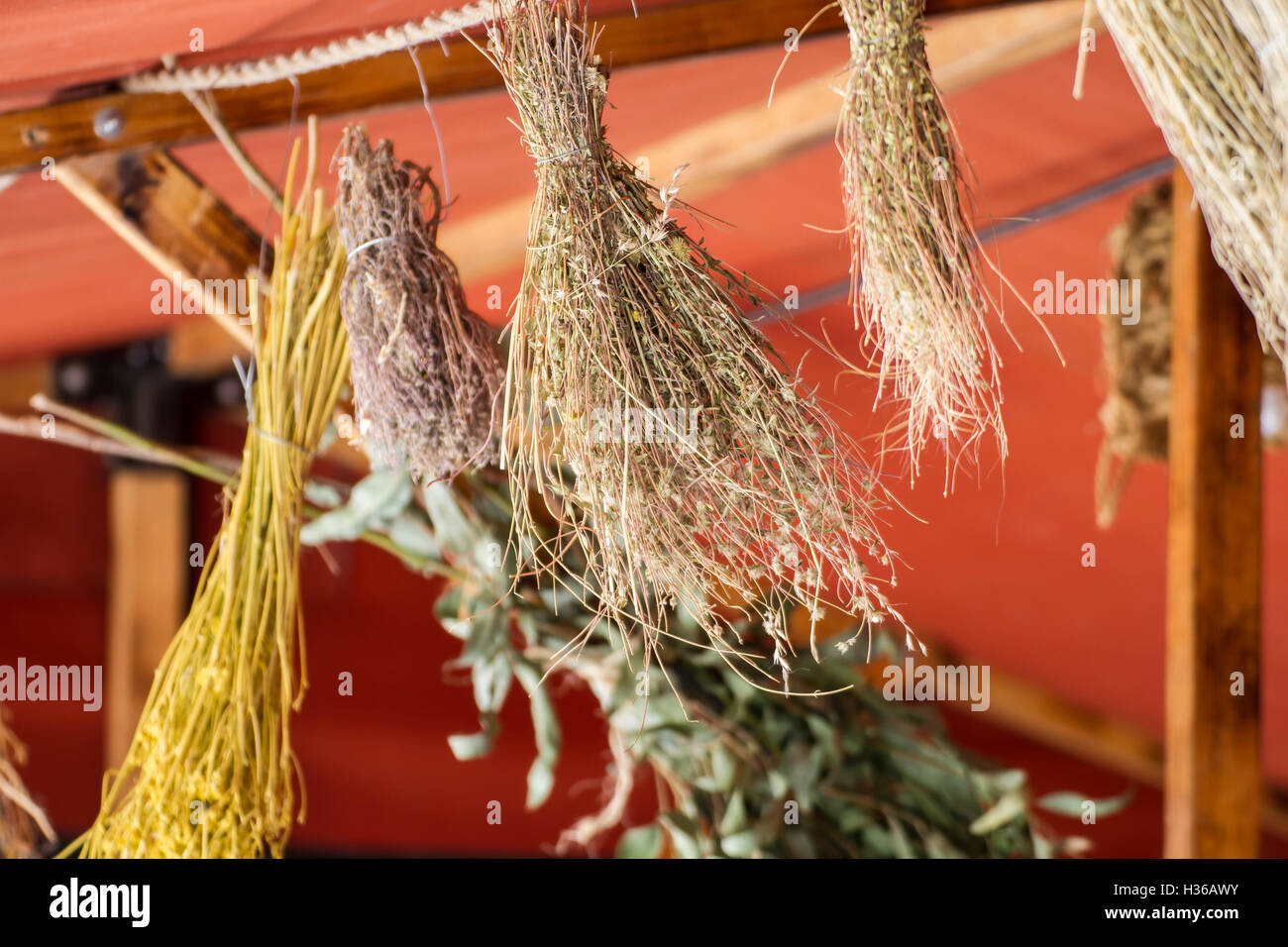 Leaf, sample herbs drying in the sun Stock Photo - Alamy