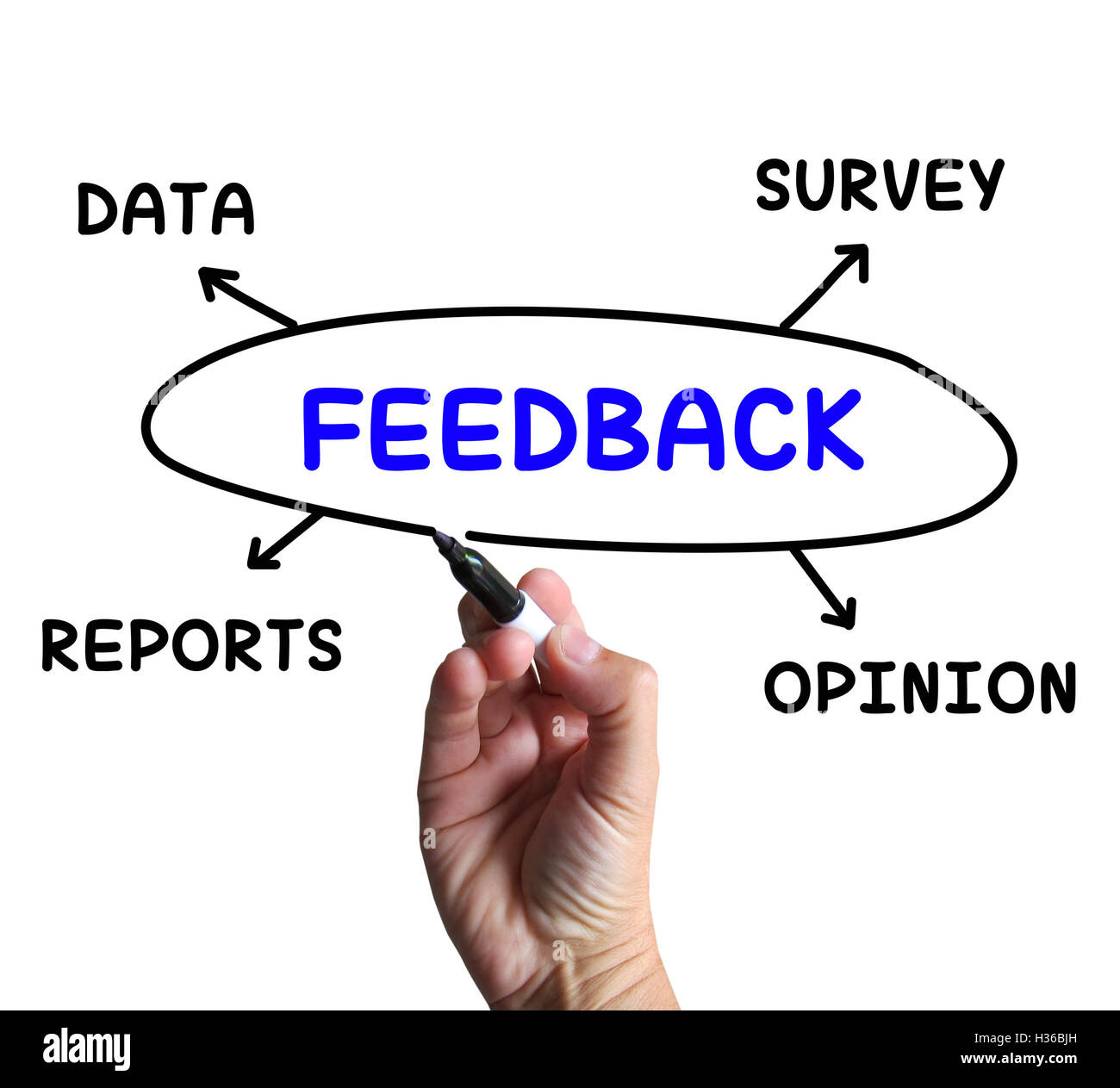 Survey reports hi-res stock photography and images - Alamy