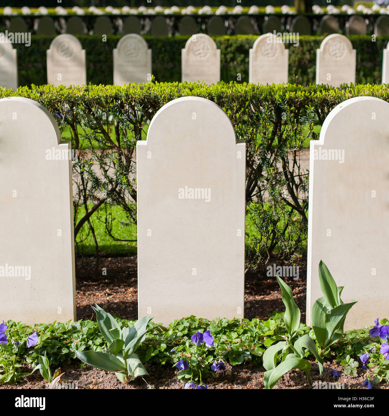 Rows of tombstones Stock Photo - Alamy