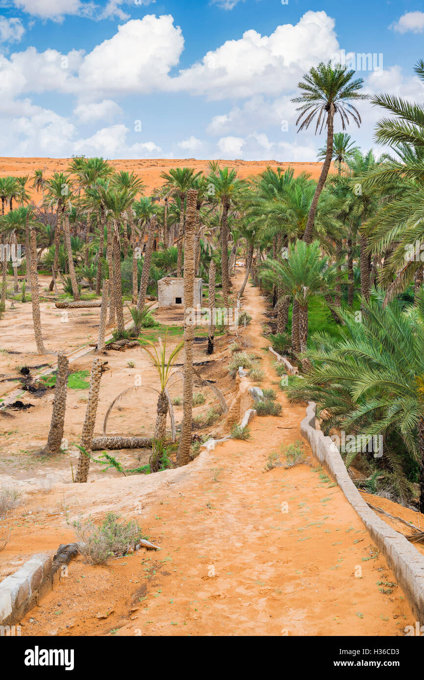 Oasis Al Haway Oman Stock Photo - Alamy
