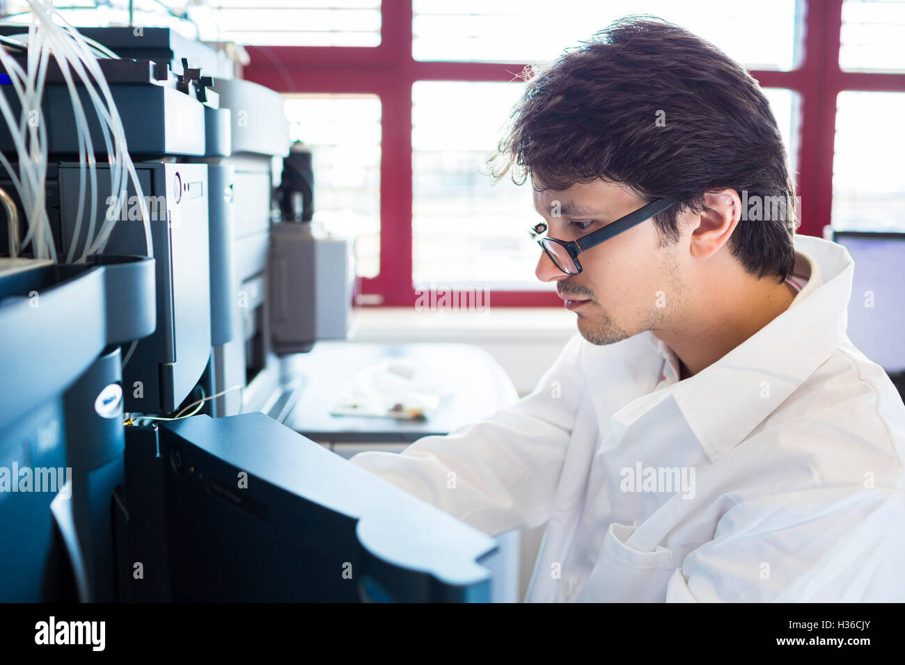 Male researcher carrying out scientific research in a lab Stock Photo ...