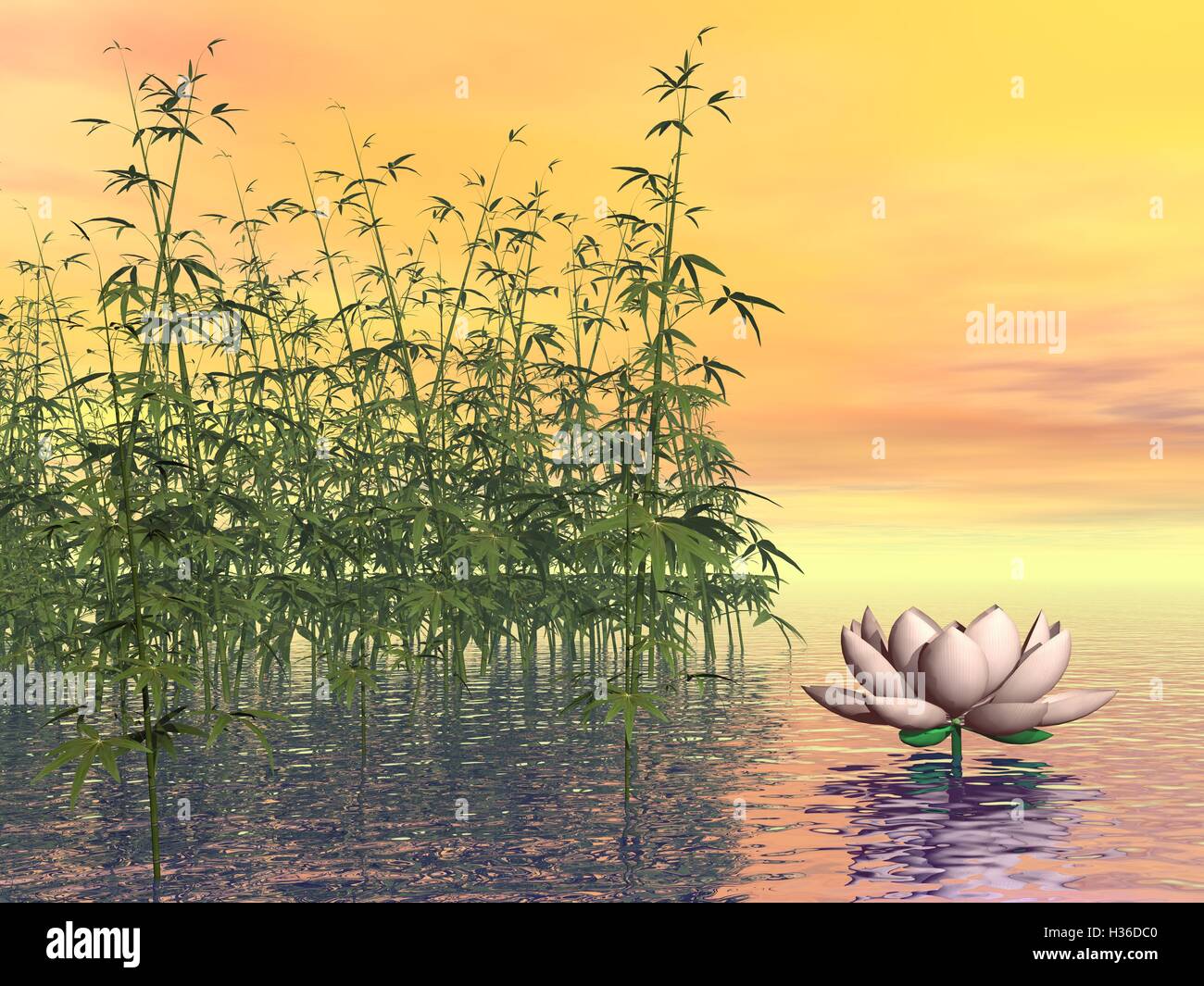 Zen nature - 3D render Stock Photo - Alamy