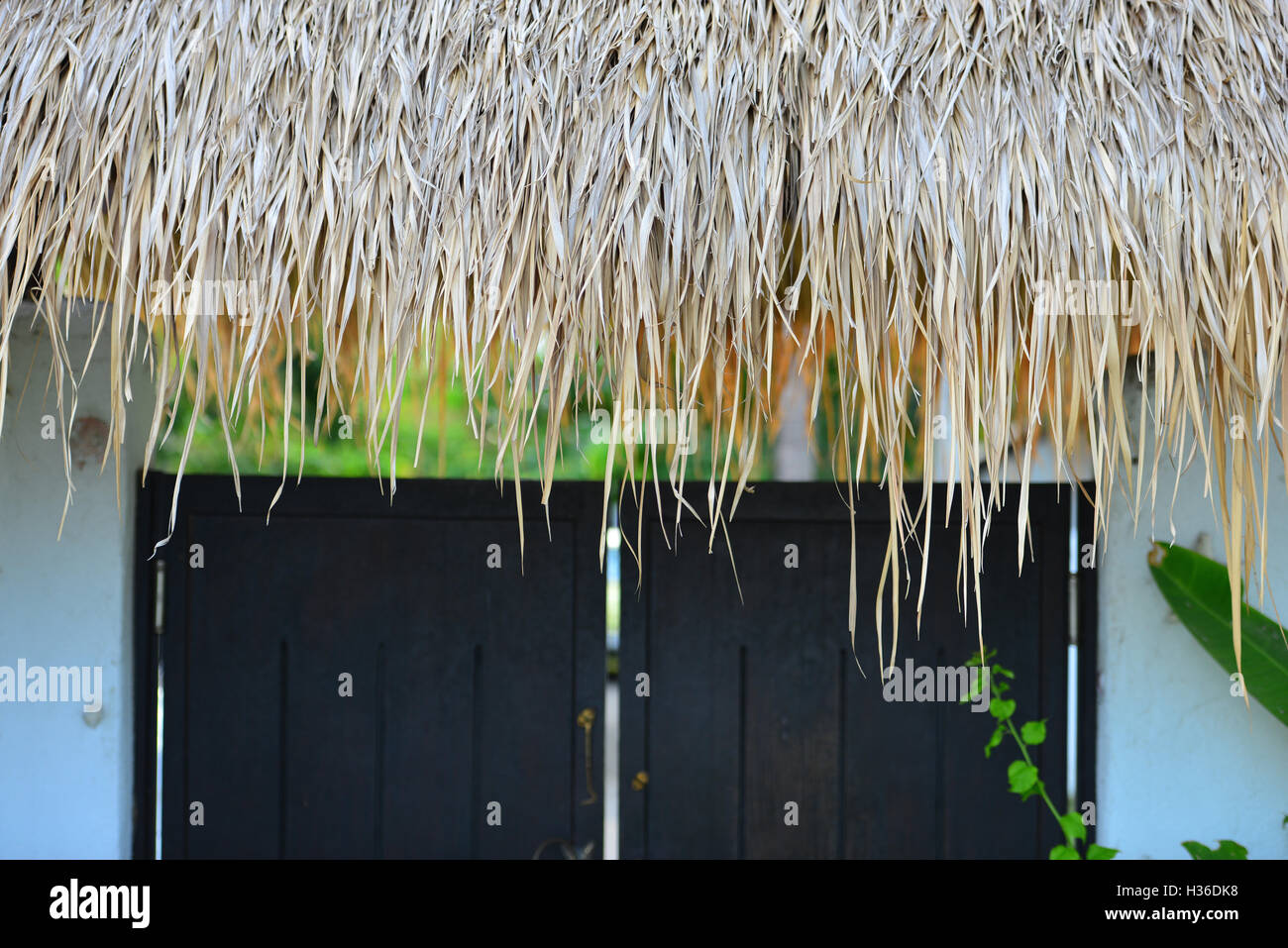 Tropical woven roof hi-res stock photography and images - Alamy