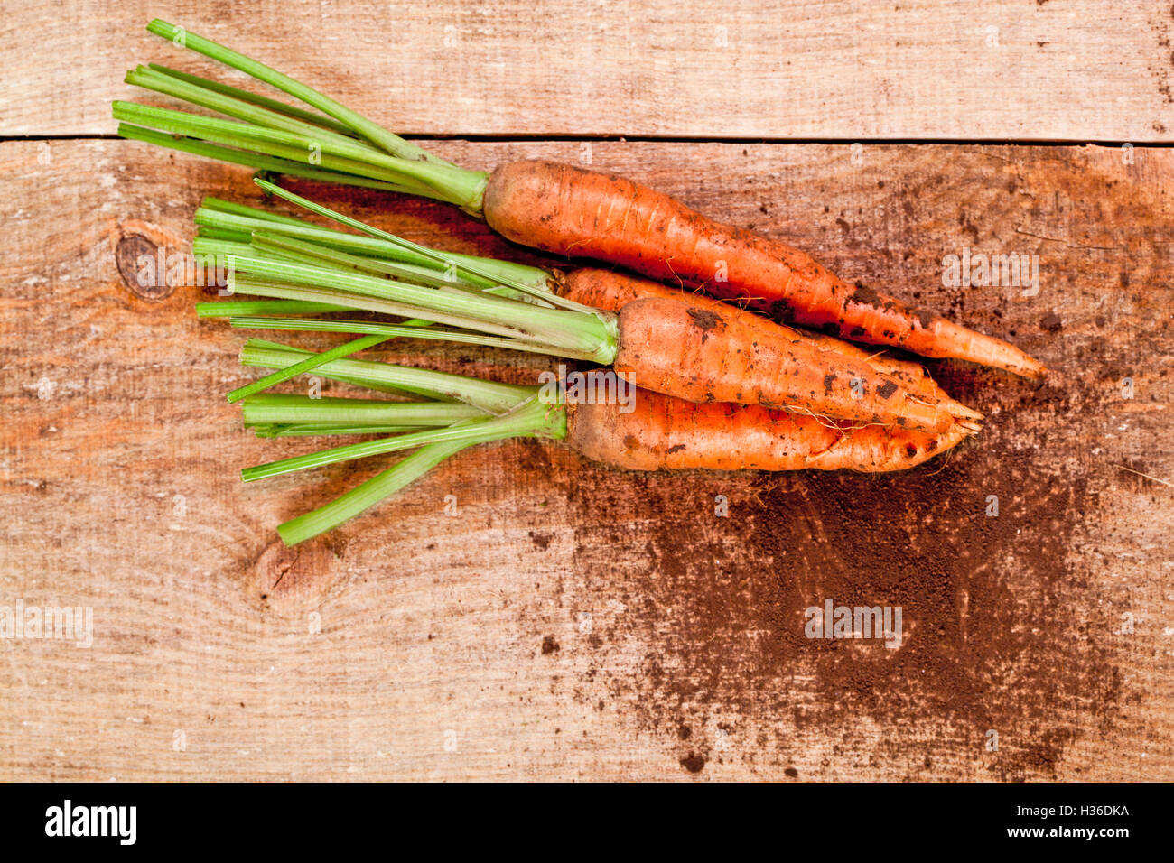 fresh carrots bunch Stock Photo - Alamy