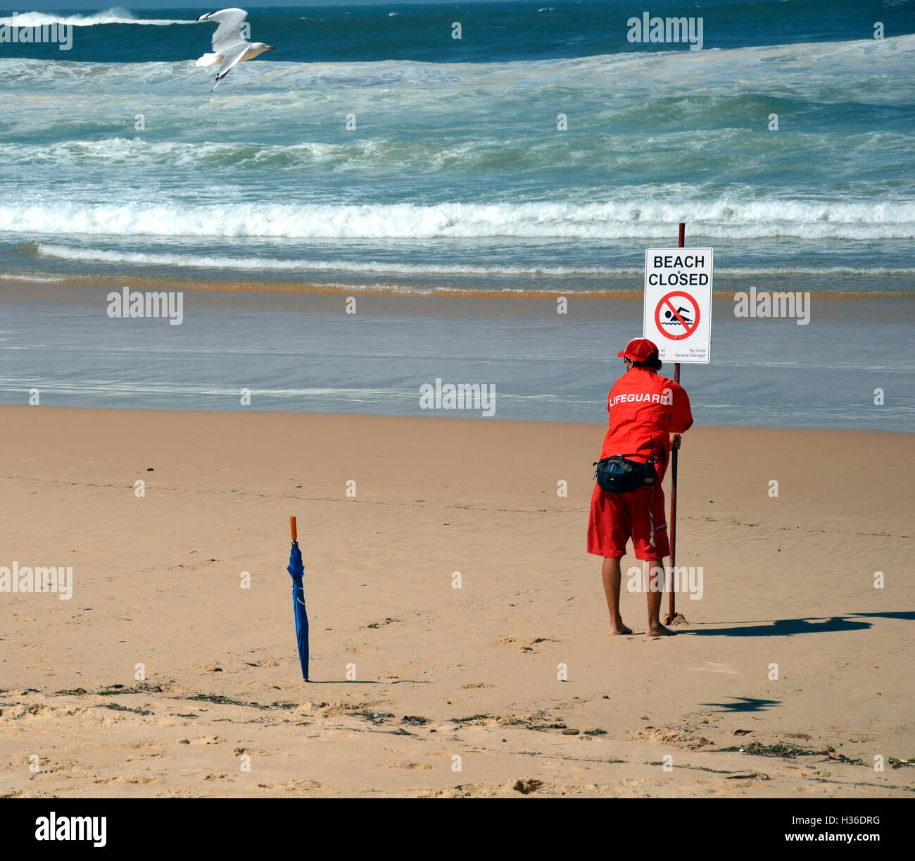 A sign reads beach closed. No swimming flag on the beach before/after ...