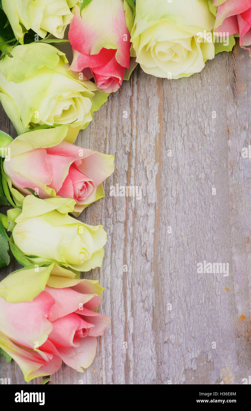 Frame of Roses Stock Photo - Alamy