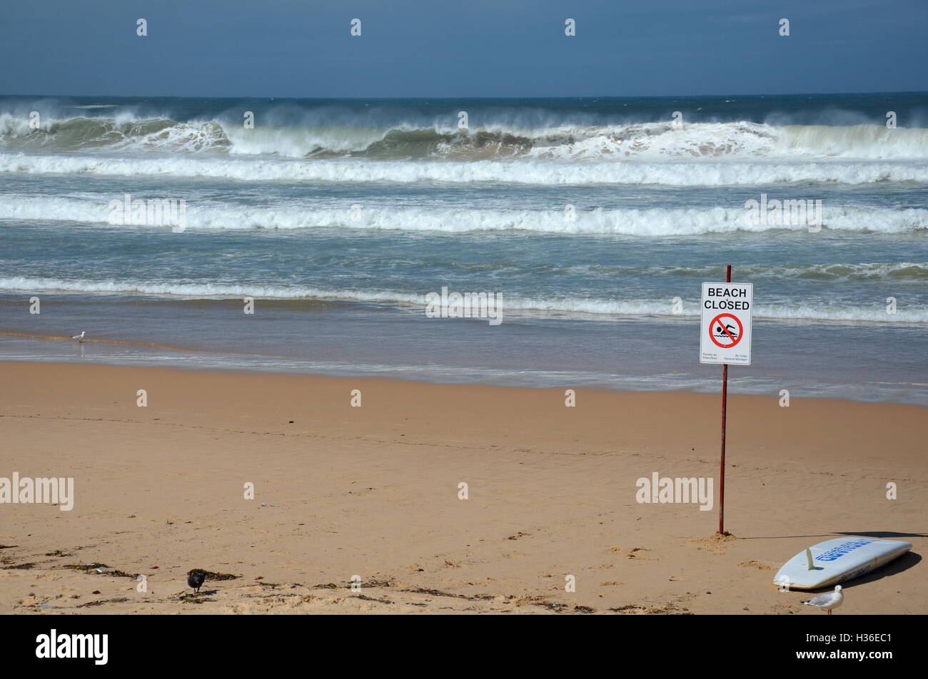 A sign reads beach closed. No swimming flag on the beach before/after ...