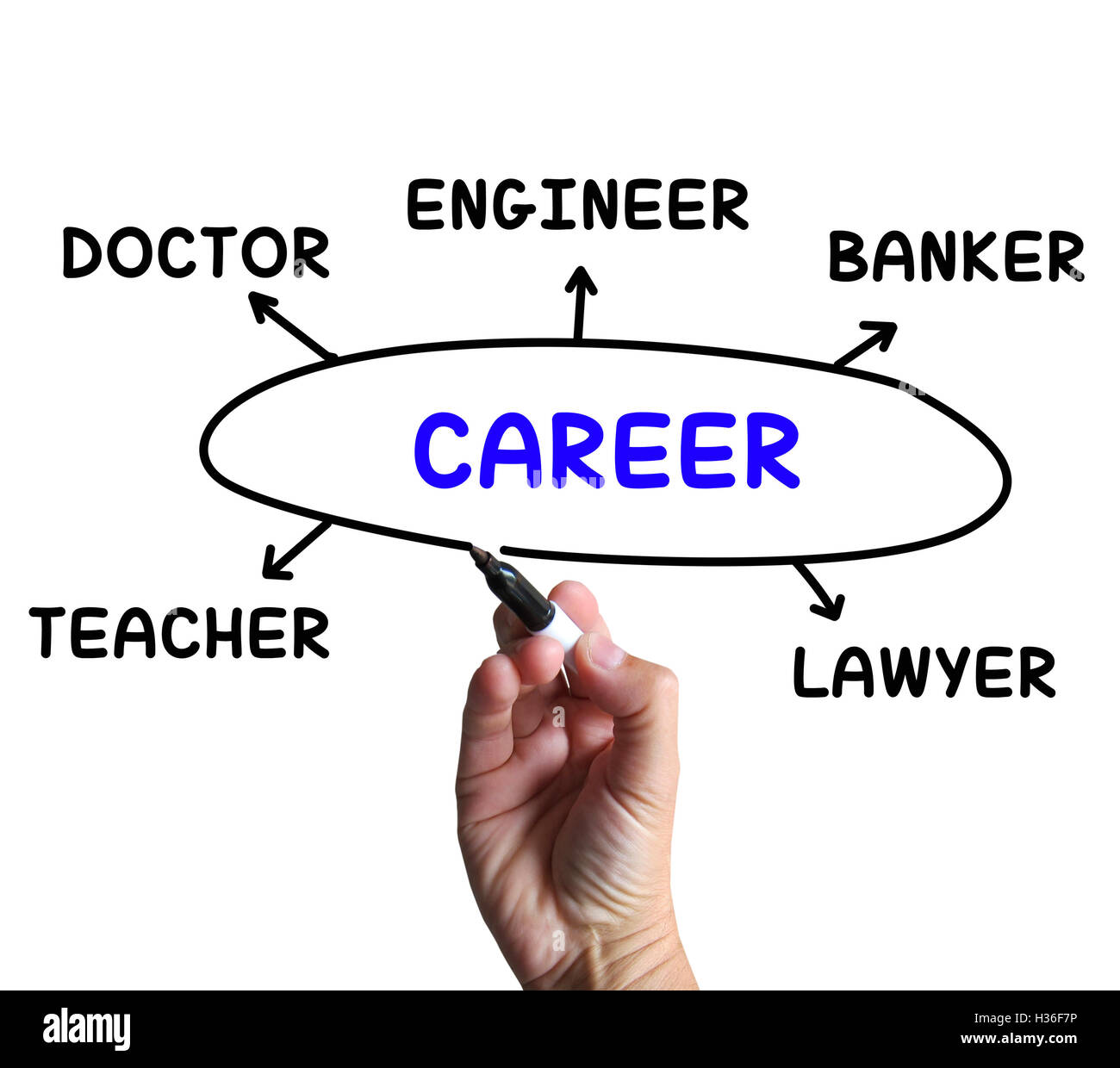 Career Diagram Means Profession And Field Of Work Stock Photo - Alamy