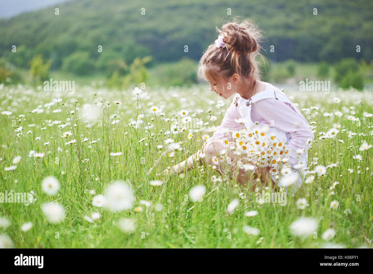Child in field Stock Photo - Alamy