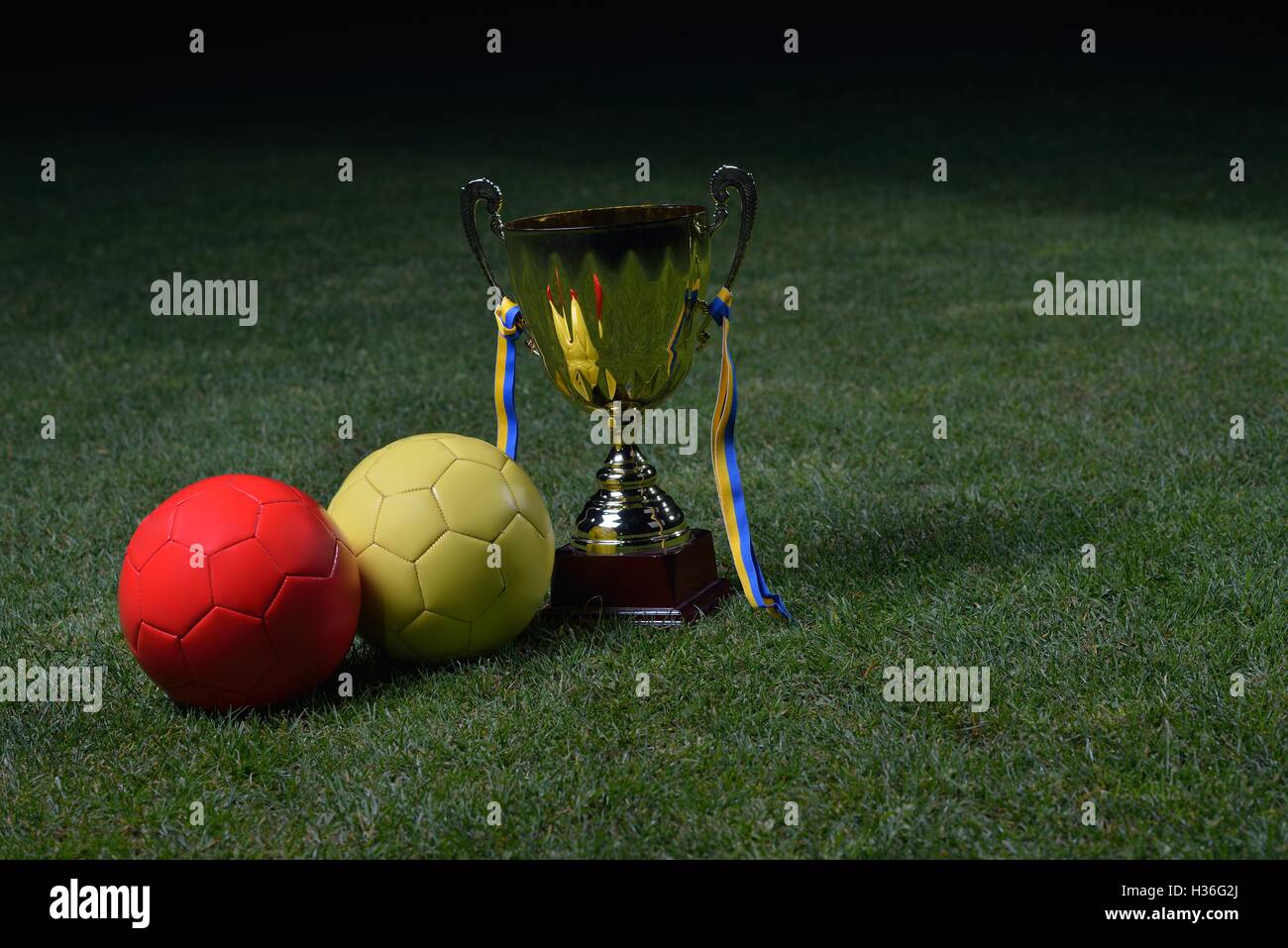 Soccer first division league championship trophy hi-res stock ...