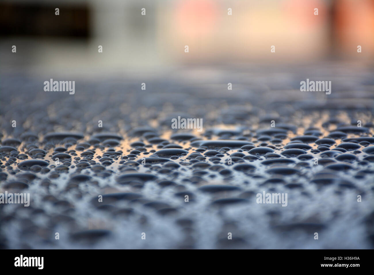 Rain drops in morning light Stock Photo - Alamy