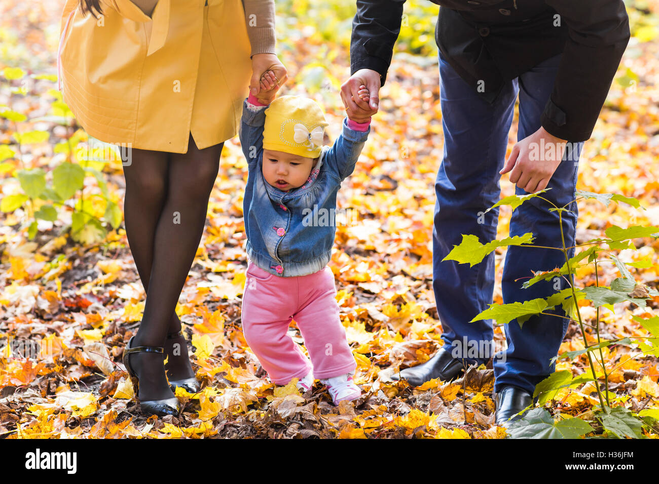 Toddler girl holding hands with her mother and father outside on a fall day Stock Photo - Alamy