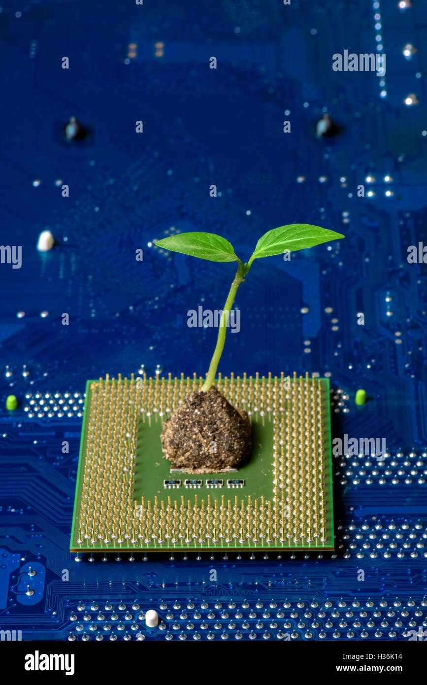 Green sprout emerging from a CPU on a blue motherboard background ...