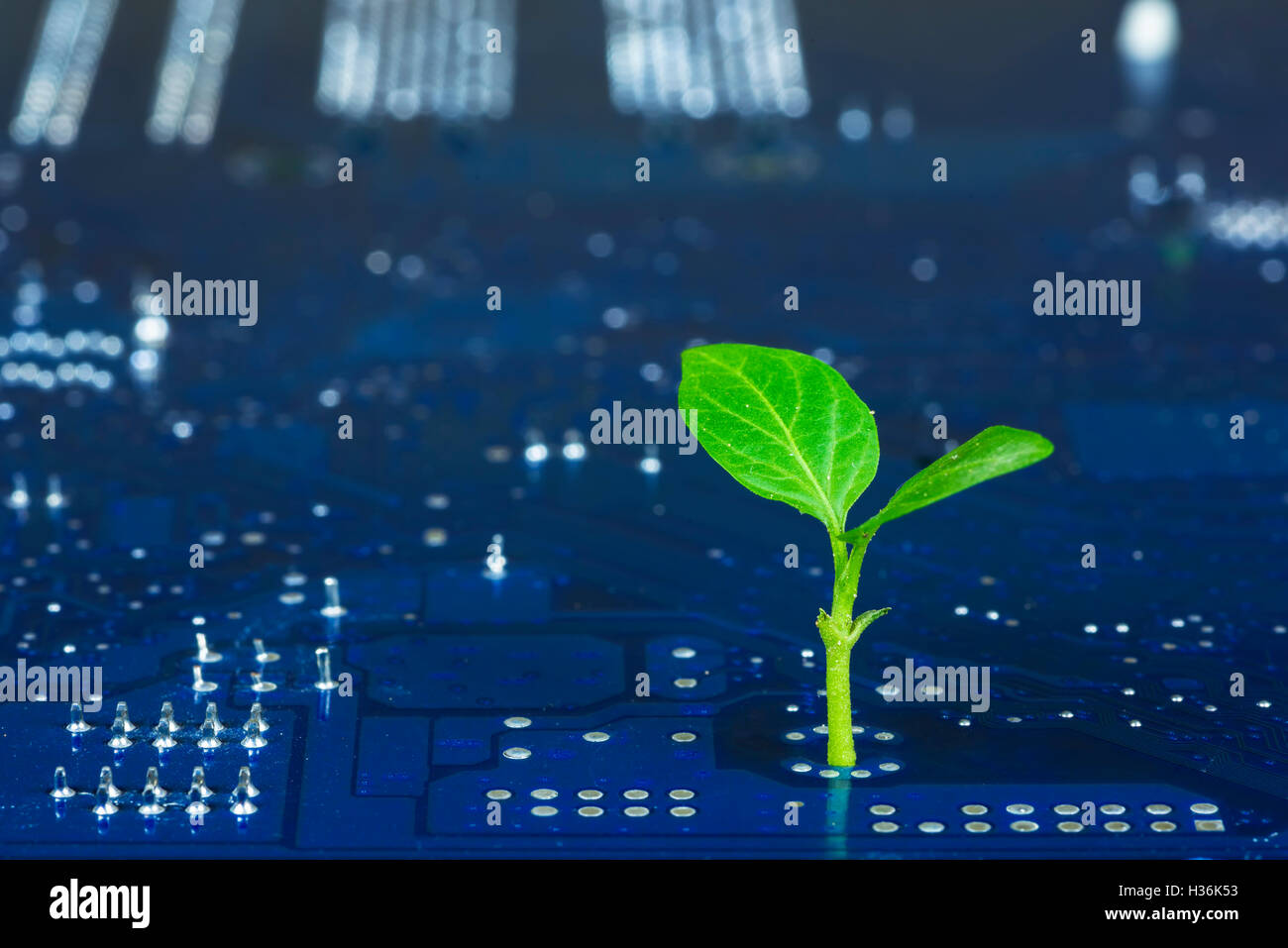 Nature integrated technology hi-res stock photography and images - Alamy