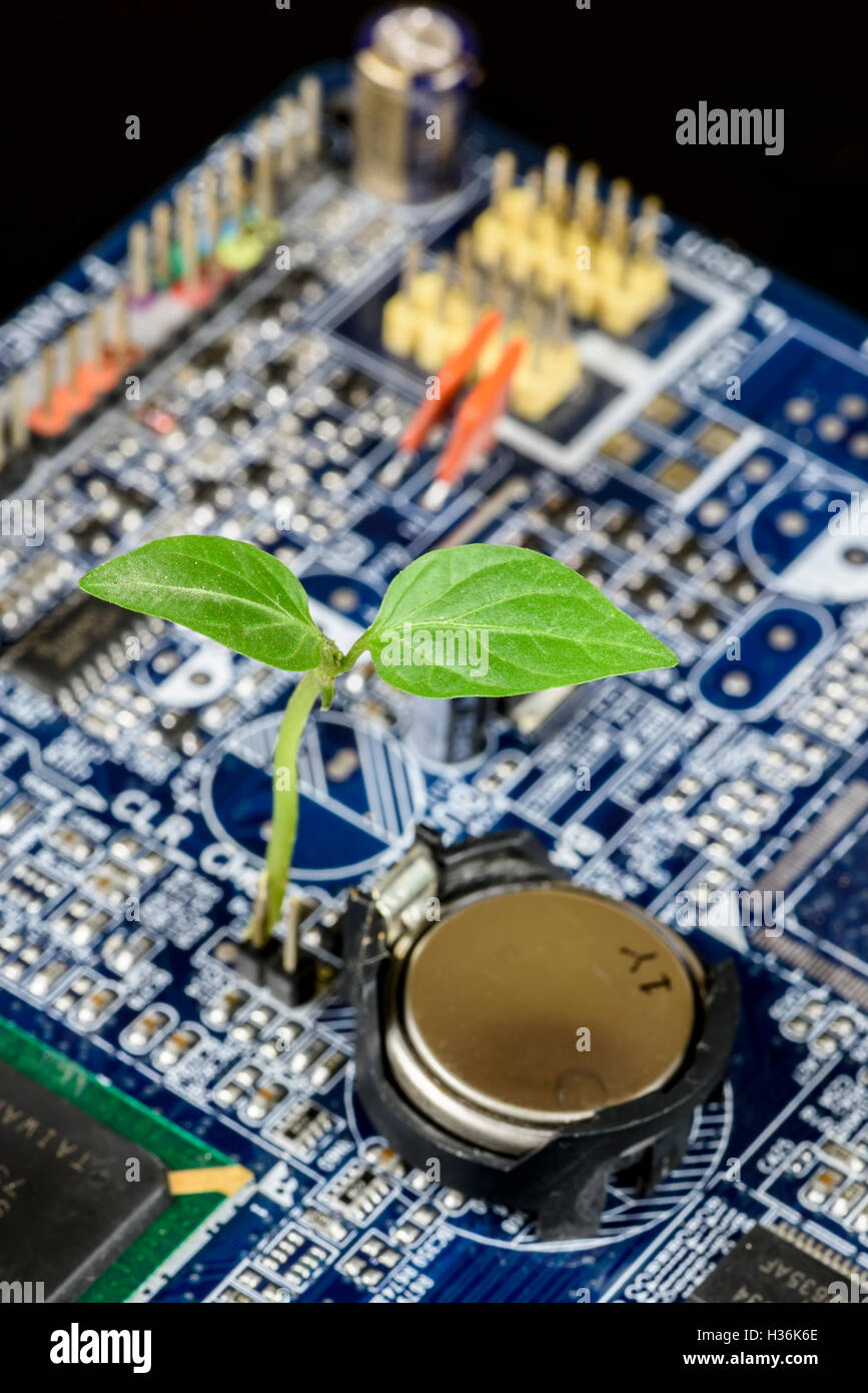 Energy efficient computing hi-res stock photography and images - Alamy