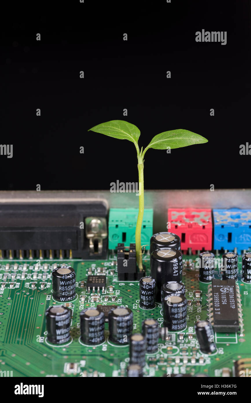 A young plant emerging from a green motherboard, surrounded by ...