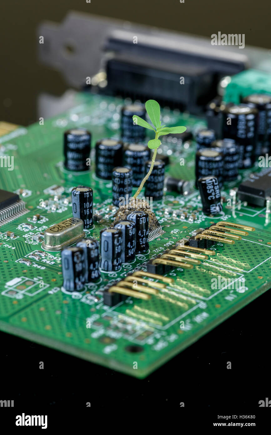 A young plant emerging from a green motherboard, surrounded by ...