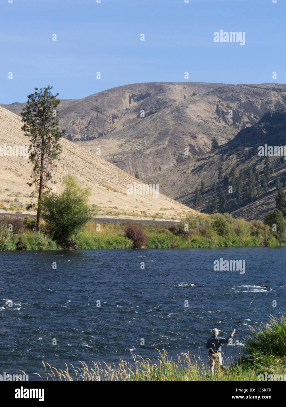 Fishing flyfishing hi-res stock photography and images - Alamy
