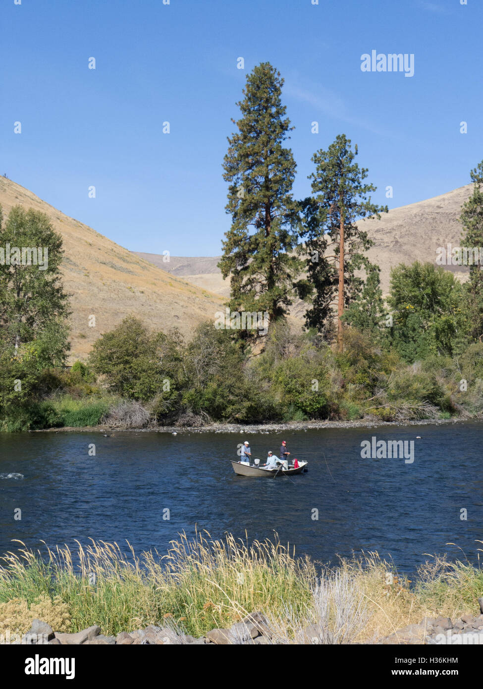 Trout Fishing Rivers In Washington State