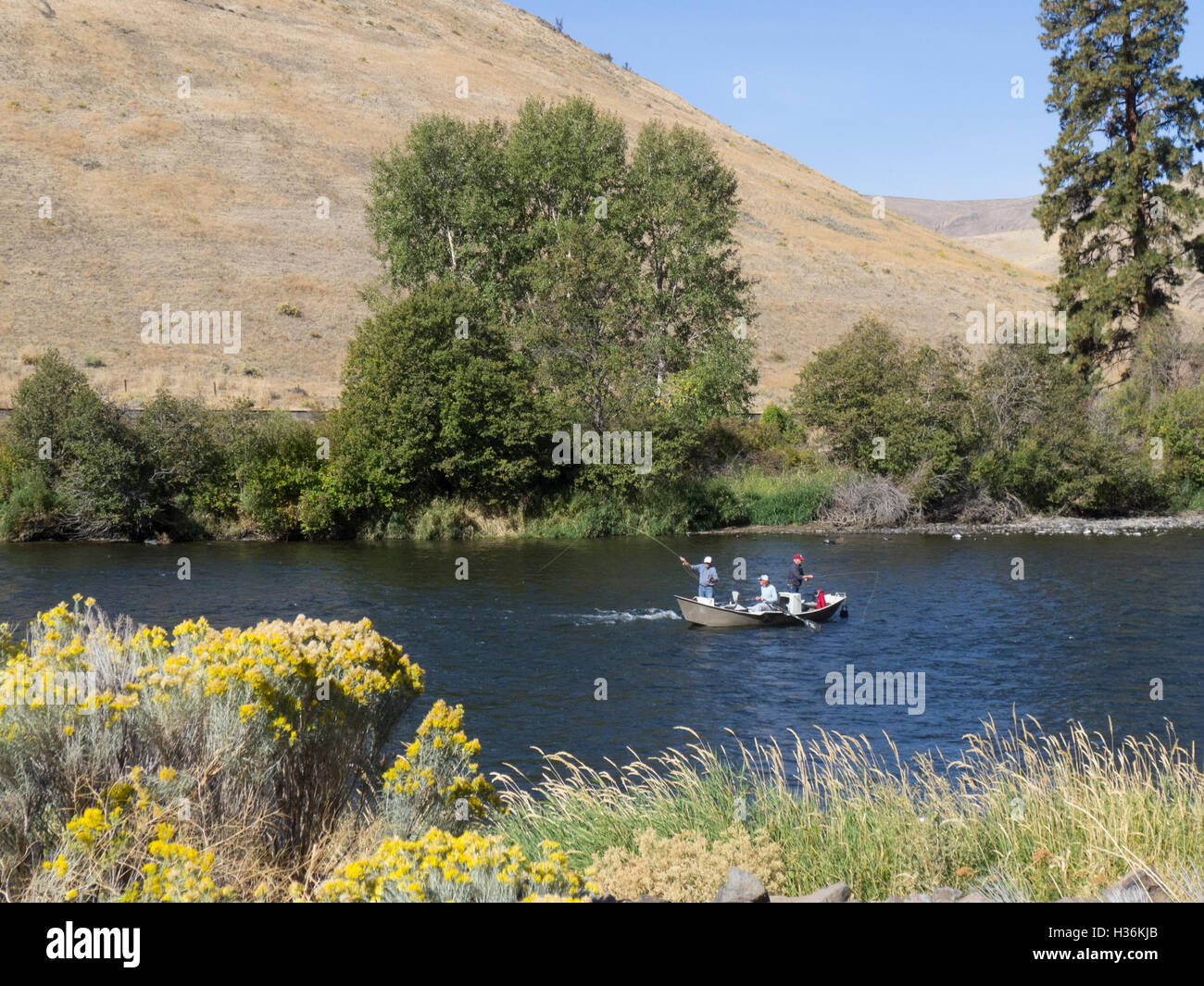 Fly fishing, Yakima River, eastern Washington State Stock Photo - Alamy