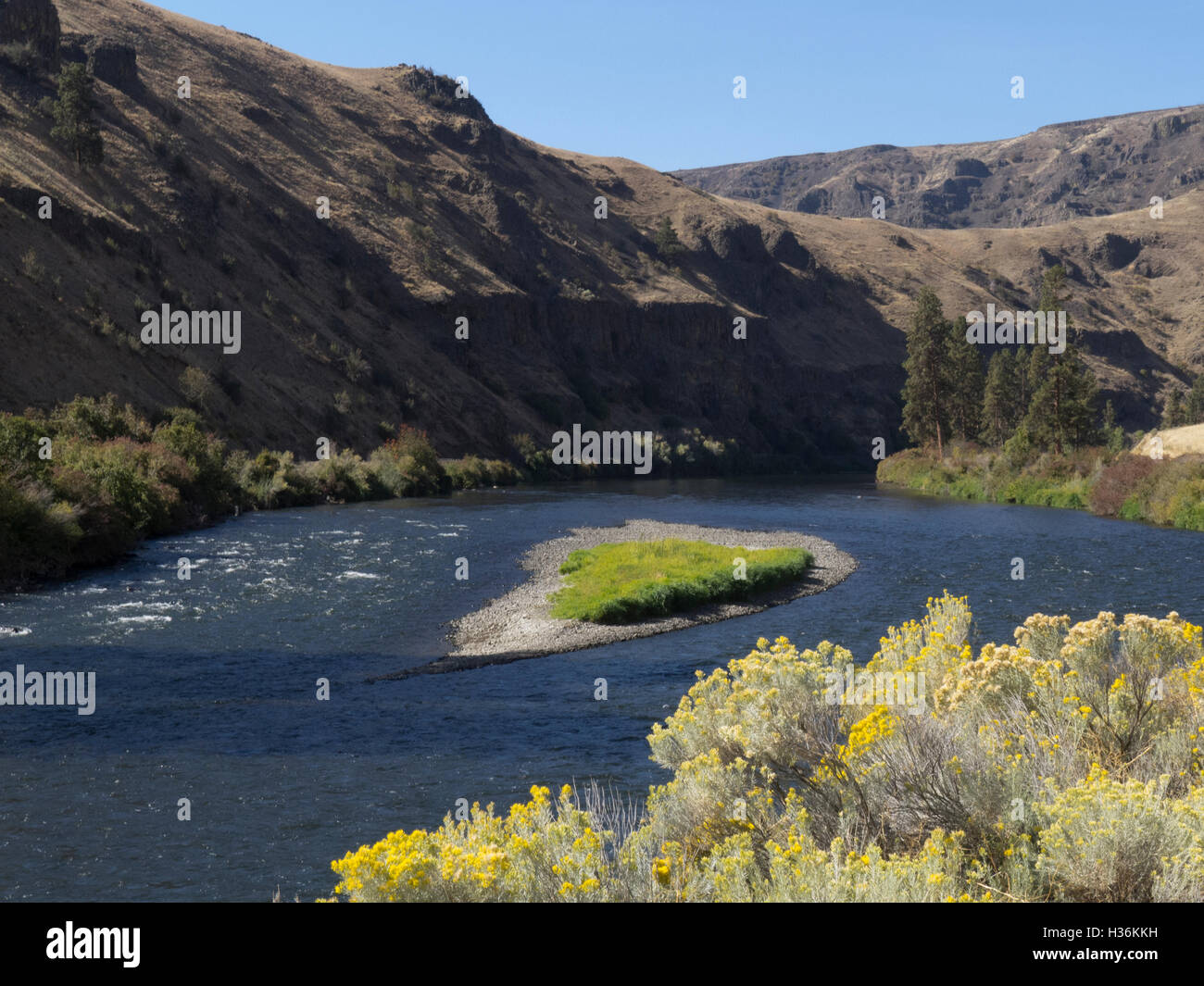 Fly fishing, Yakima River, eastern Washington State Stock Photo - Alamy