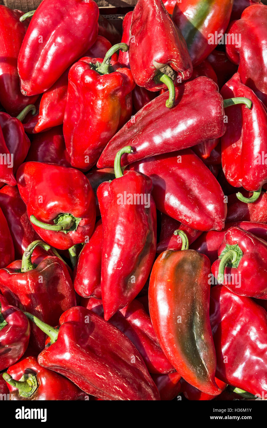 Fleshy red peppers at a market waiting to be sold Stock Photo - Alamy