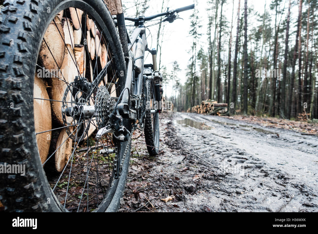 Mountain bike wheel in wet autumn woods dark forest landscape. Cycling ...