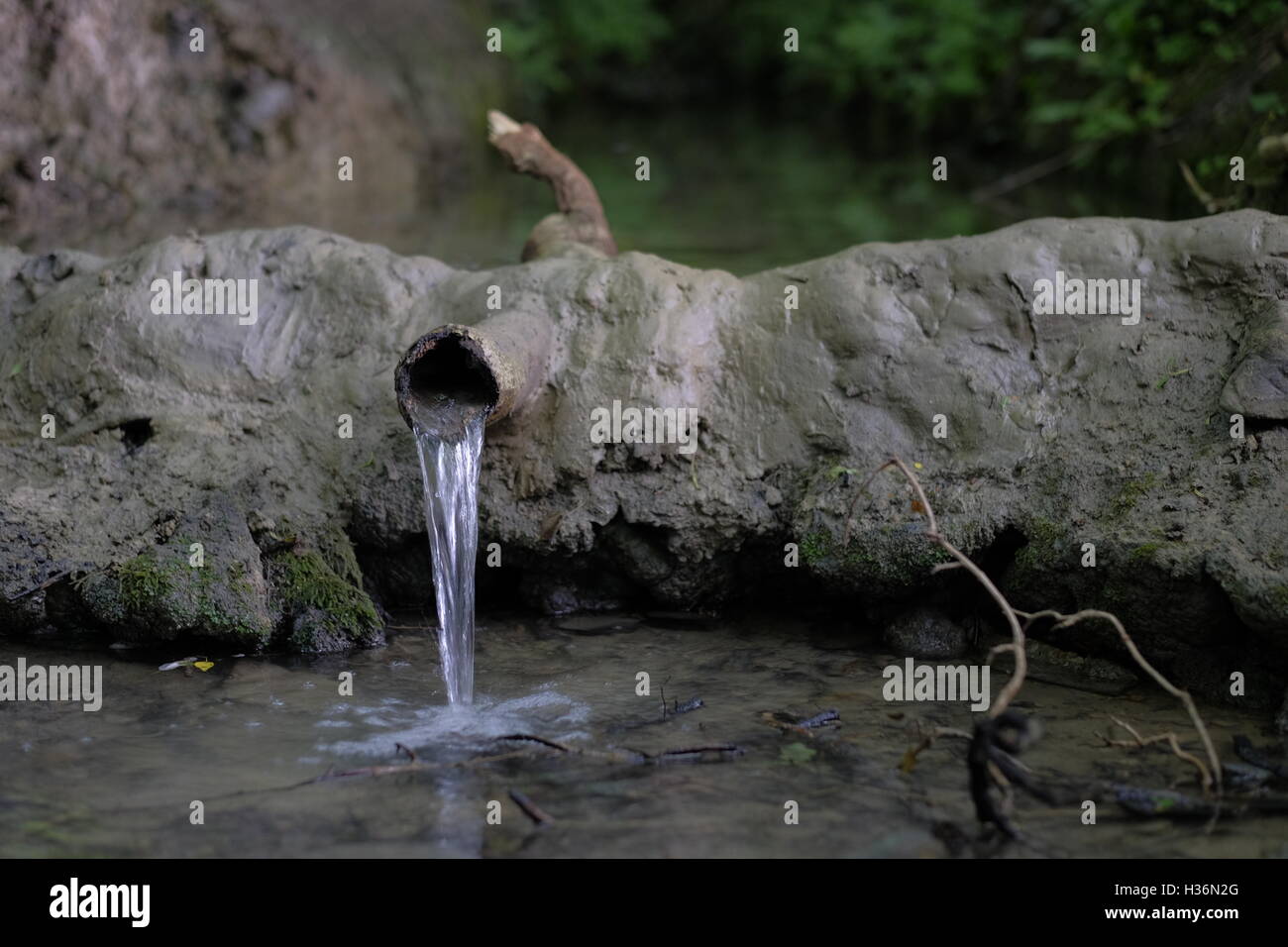 A clay dam built over a small stream with a hollow log used as an ...