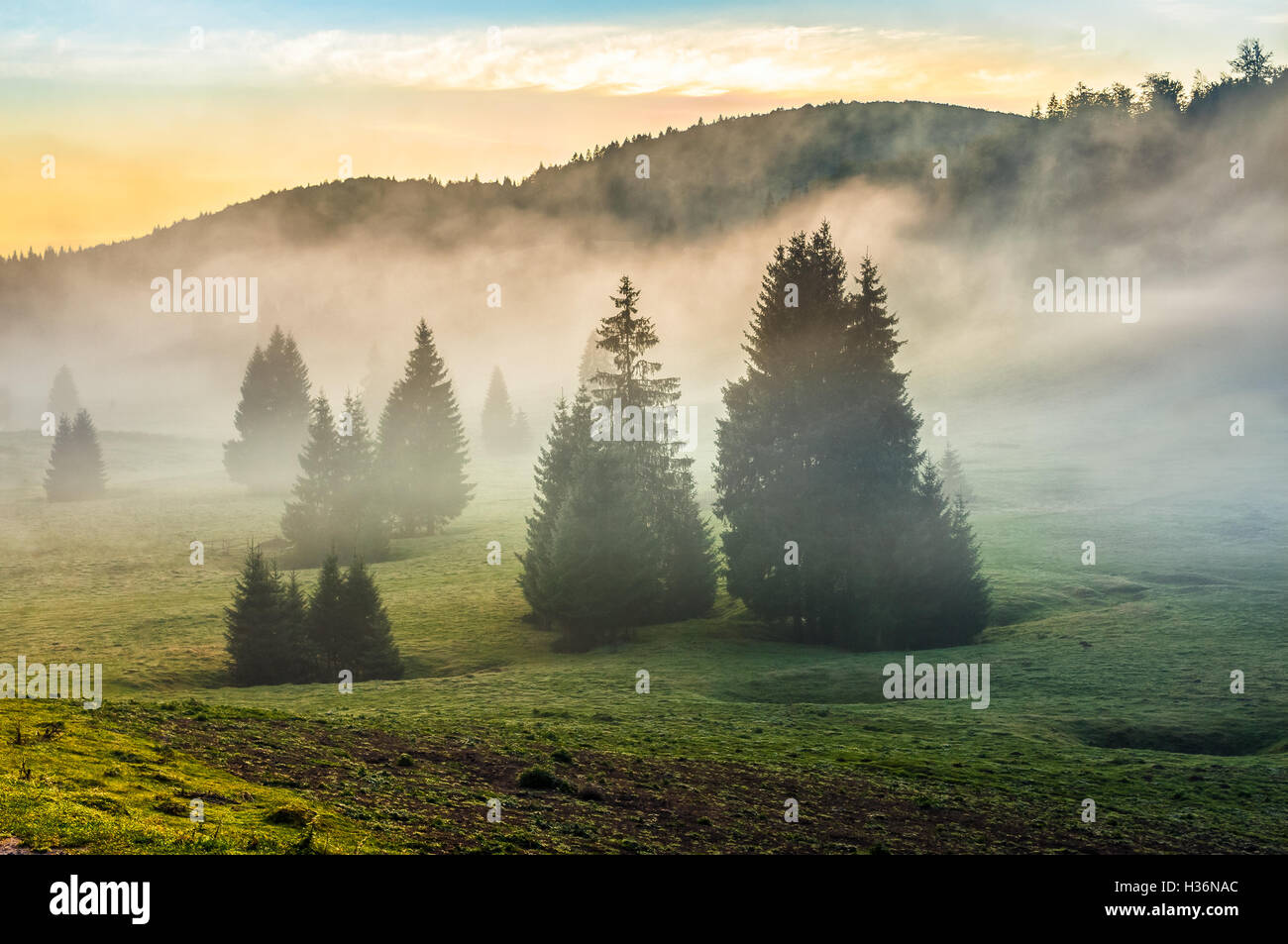 rays of the evening sun breaking through the clouds and fog to the ...