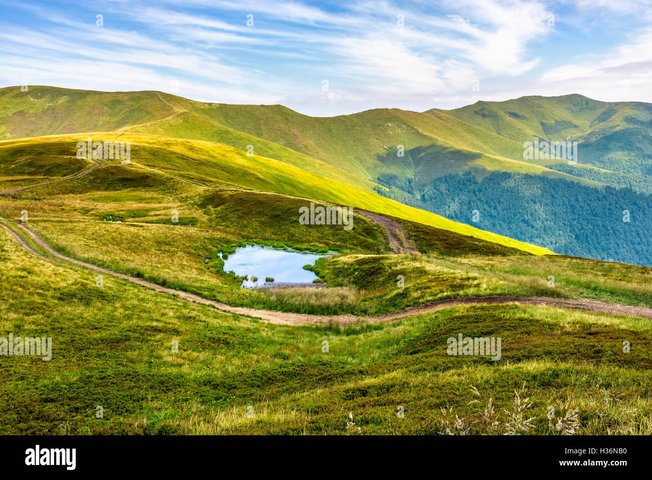 summer landscape in mountains with small swamp on hill side Stock Photo ...