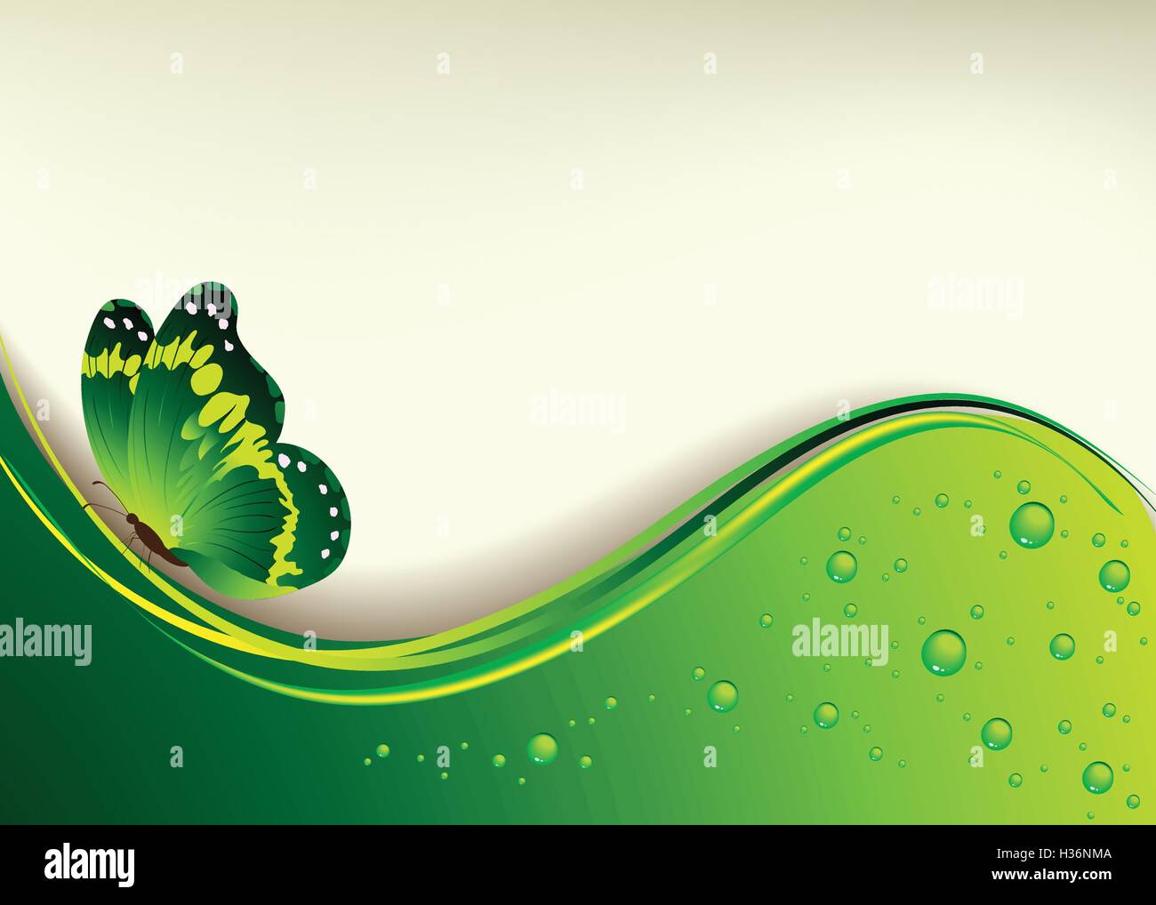 Beautiful green background with the butterfly Stock Vector Image & Art ...