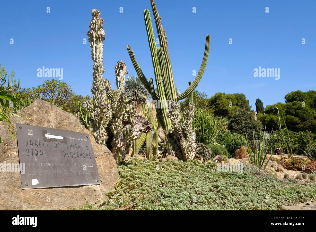 The Cactus Garden in Parque Paloma, Paloma park, Benalmadena, Spain ...