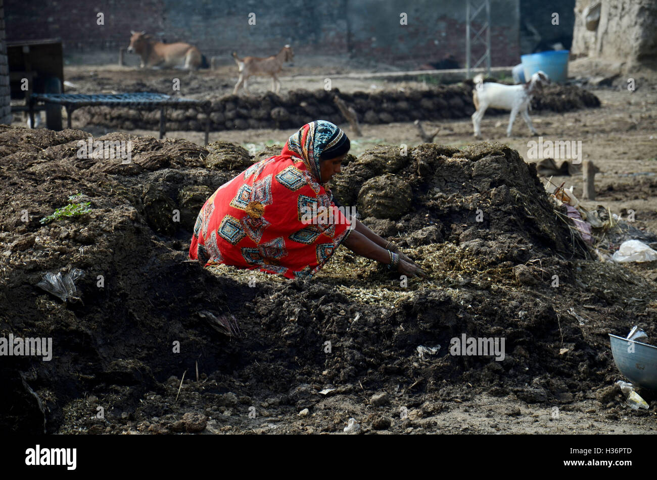 Wahga hi-res stock photography and images - Alamy