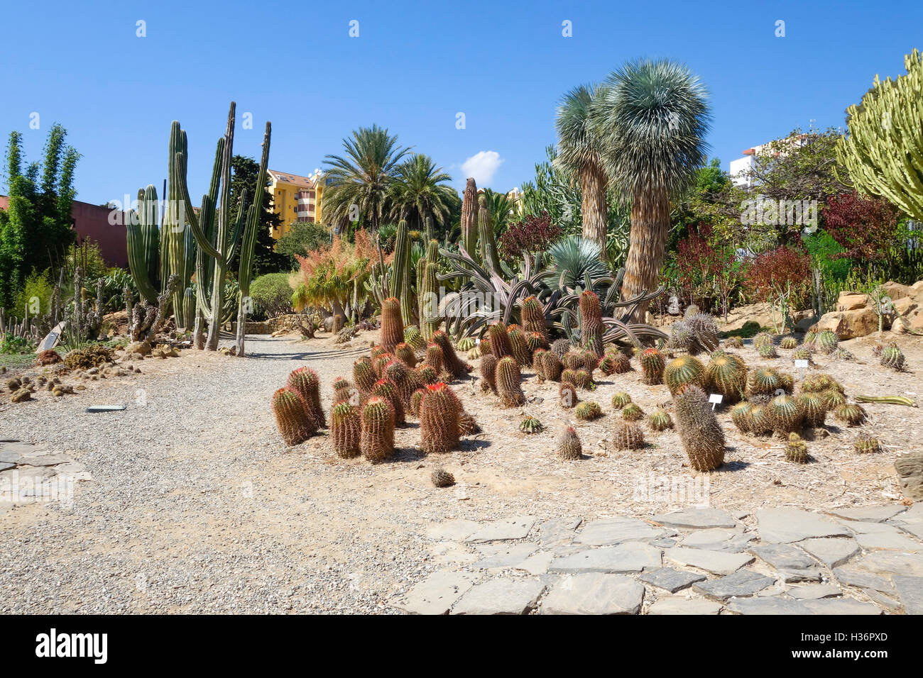 The Cactus Garden in Parque Paloma, Paloma park, Benalmadena, Spain ...