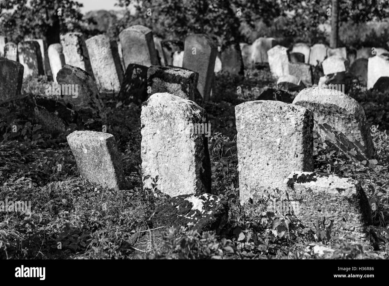 Old jewish cemetery, Poland Stock Photo - Alamy