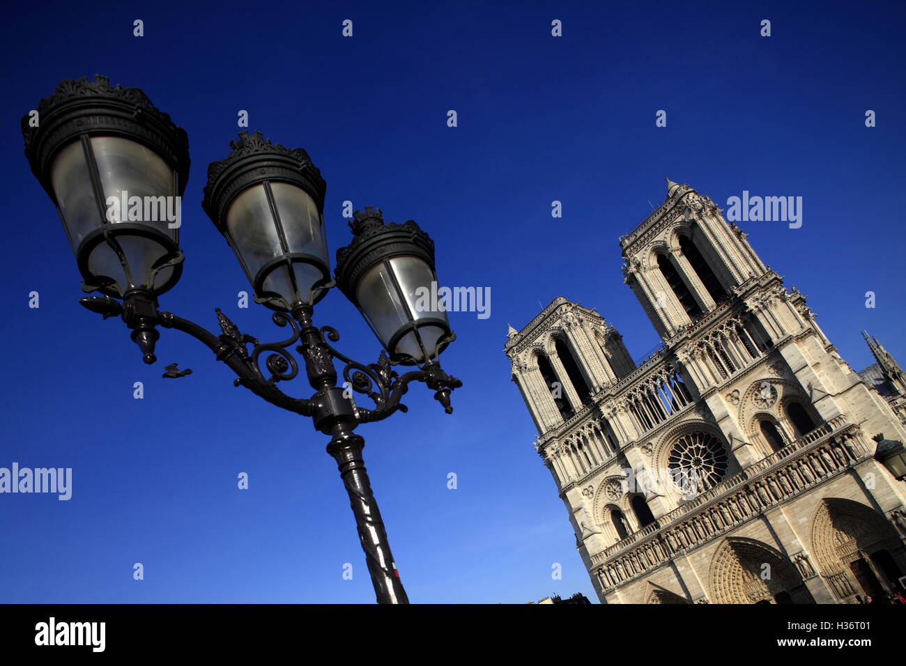 Notre Dame Cathedral in Place du parvis Notre Dame Square,Paris.France ...