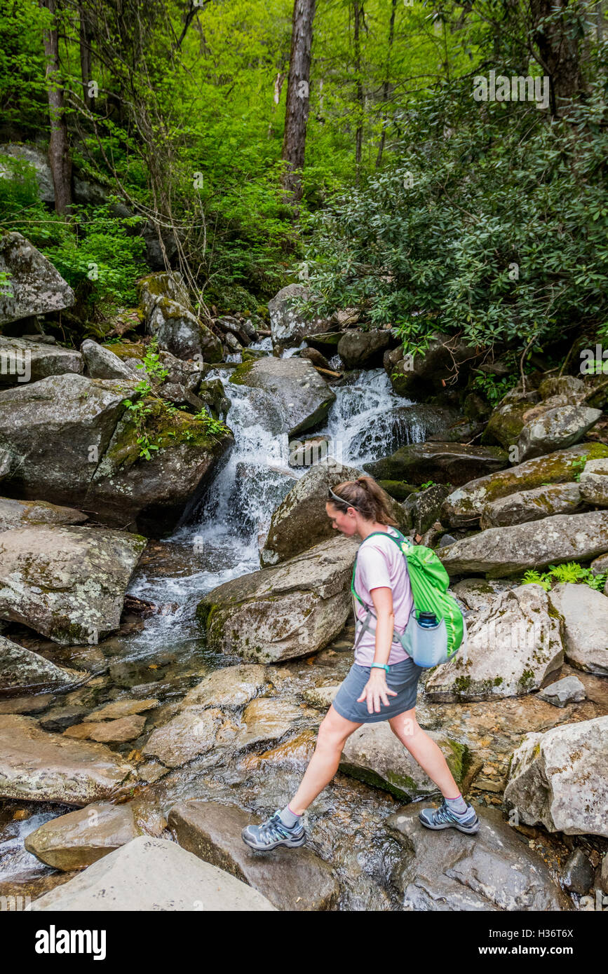 Precarious Woman On Creek Crossing in Smokies Stock Photo - Alamy