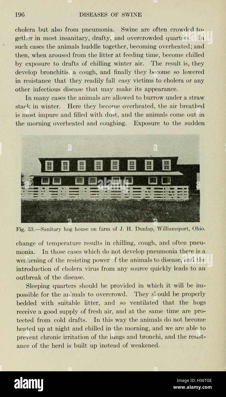 A focused study on the diseases affecting swine, detailing symptoms ...