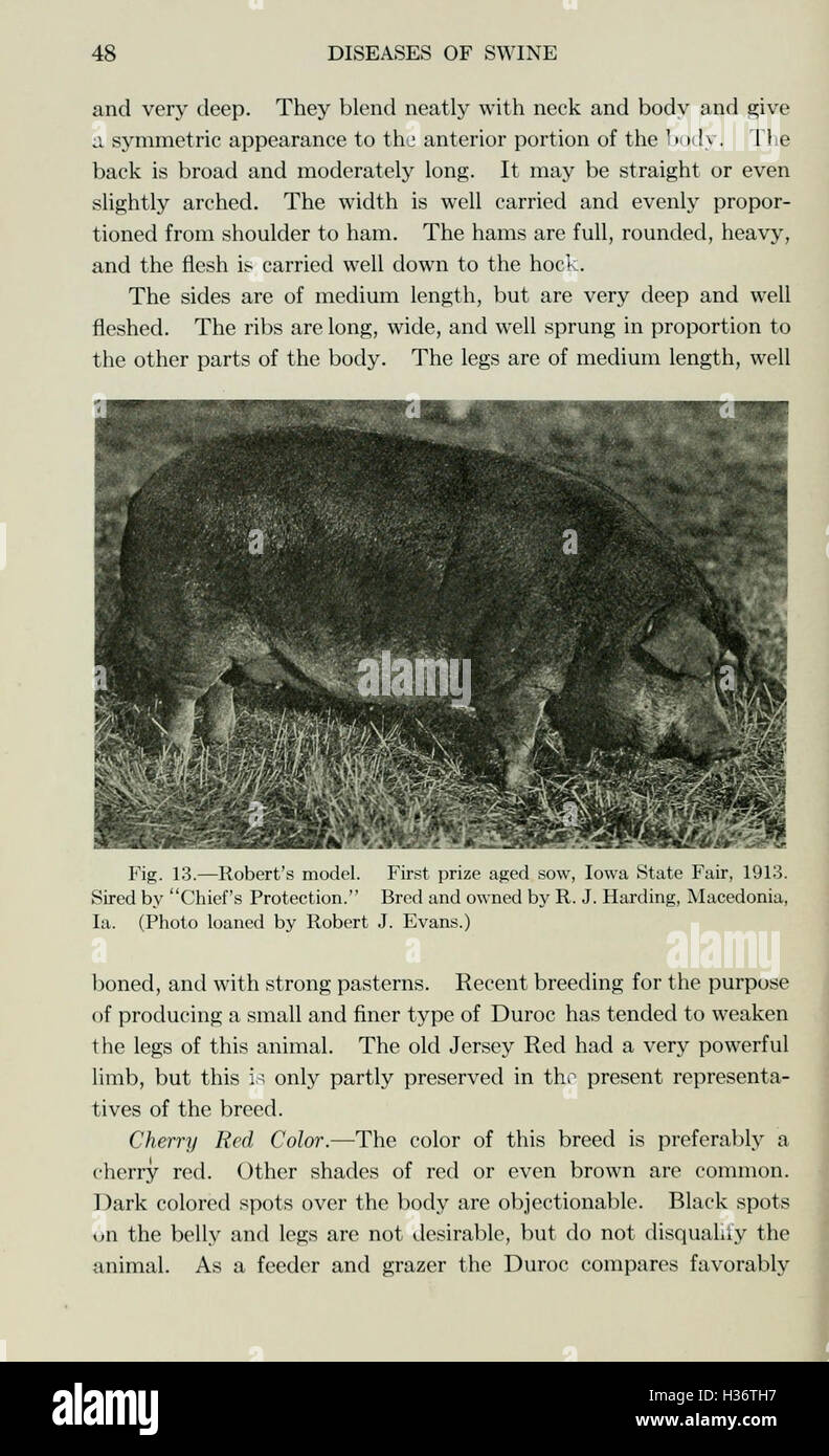This work covers the various diseases that affect swine, providing ...