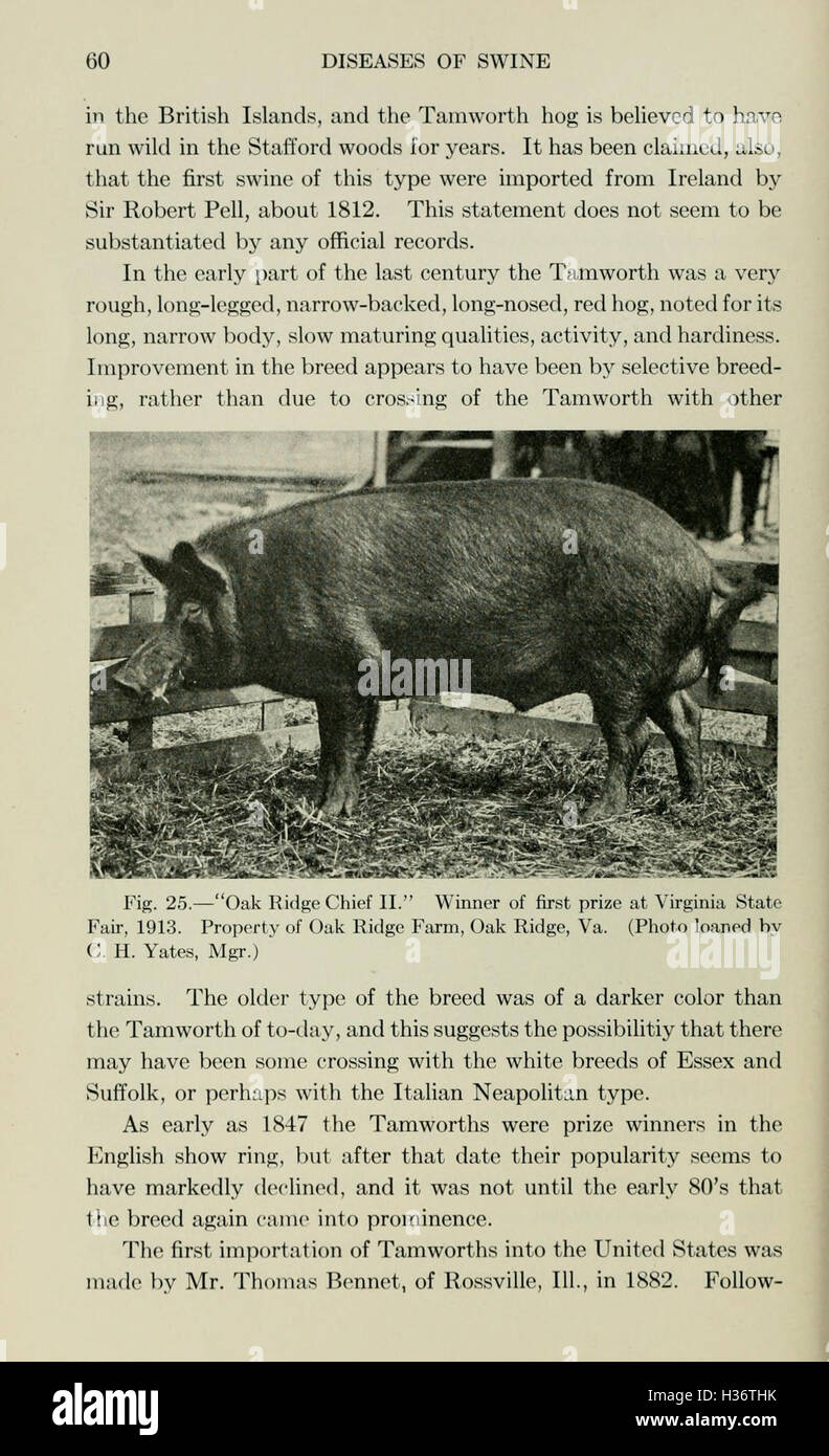This work addresses common diseases affecting swine, detailing their ...