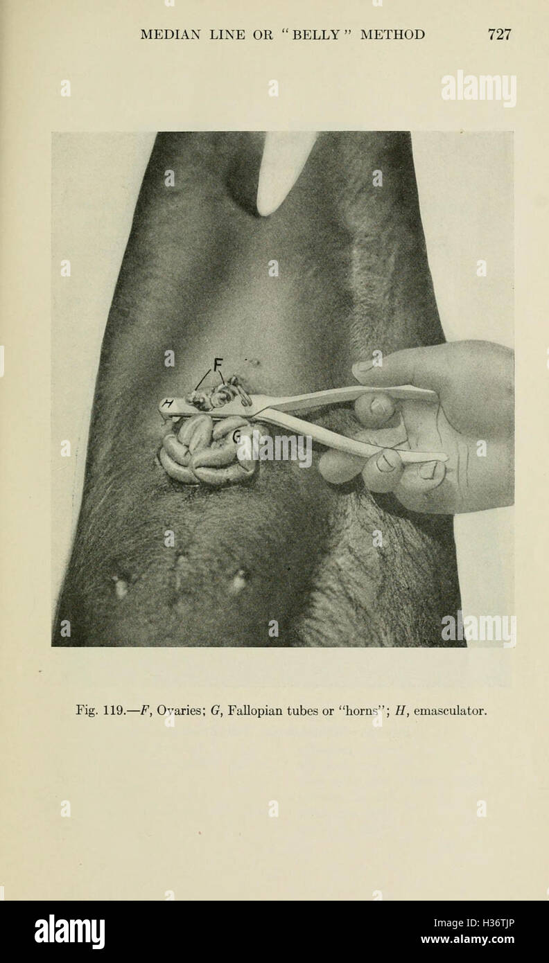This page discusses the common diseases affecting swine, their symptoms ...