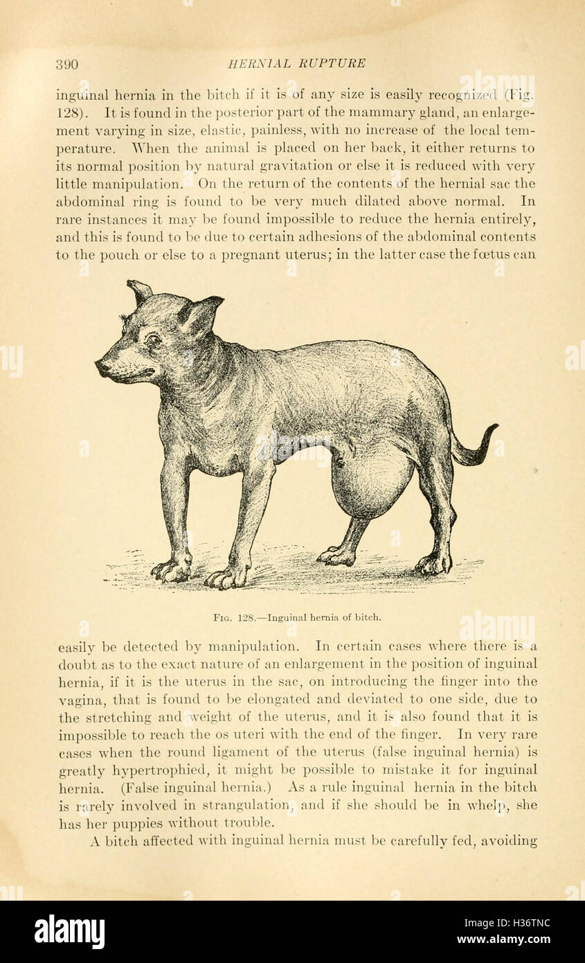 This work provides a detailed overview of common canine diseases, their ...