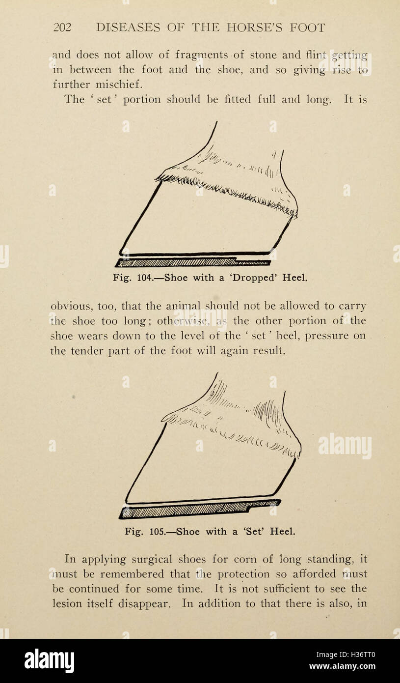 This page covers various diseases affecting the horse's foot, including ...