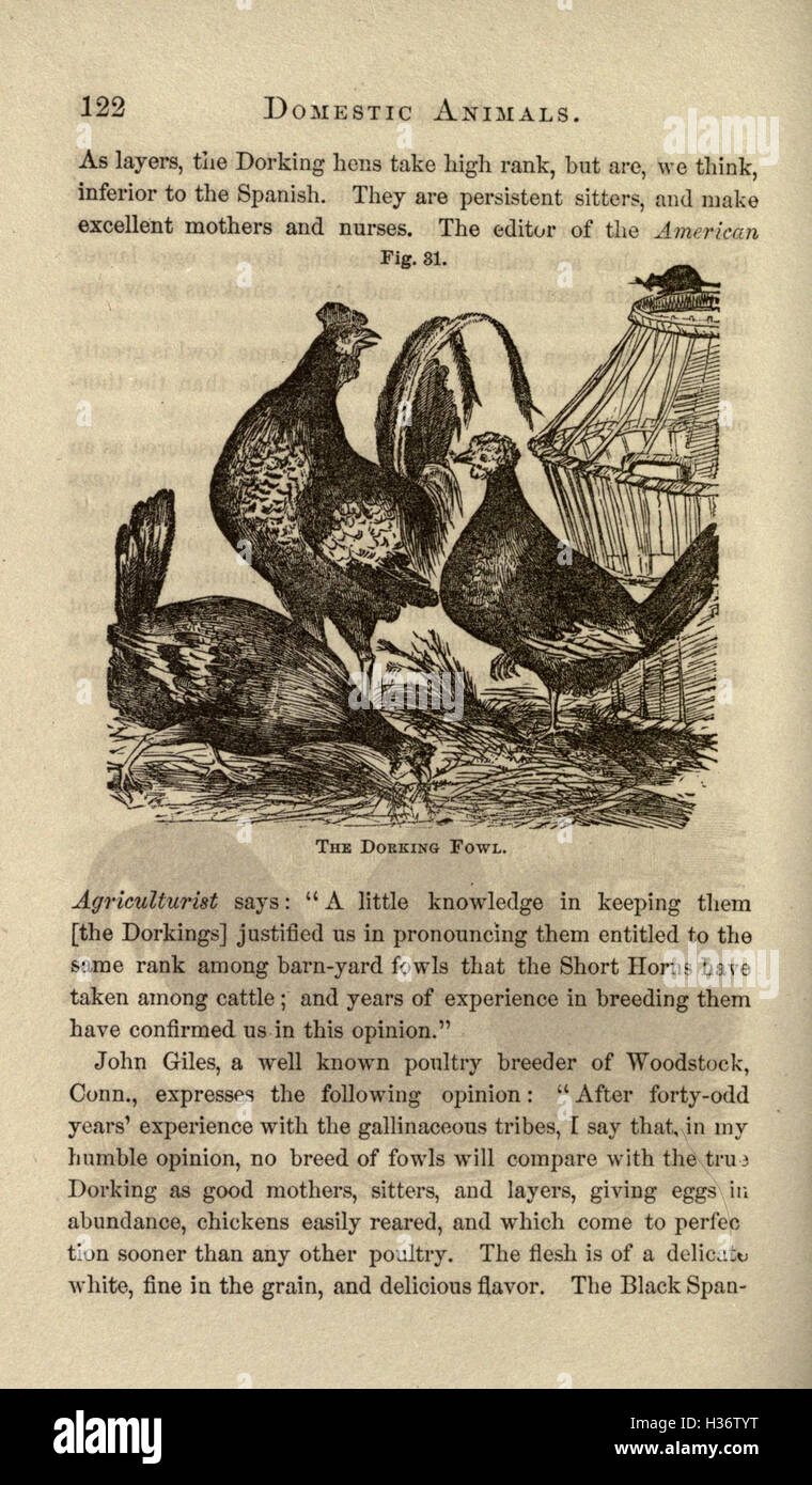 This book discusses various types of domestic animals, including their ...