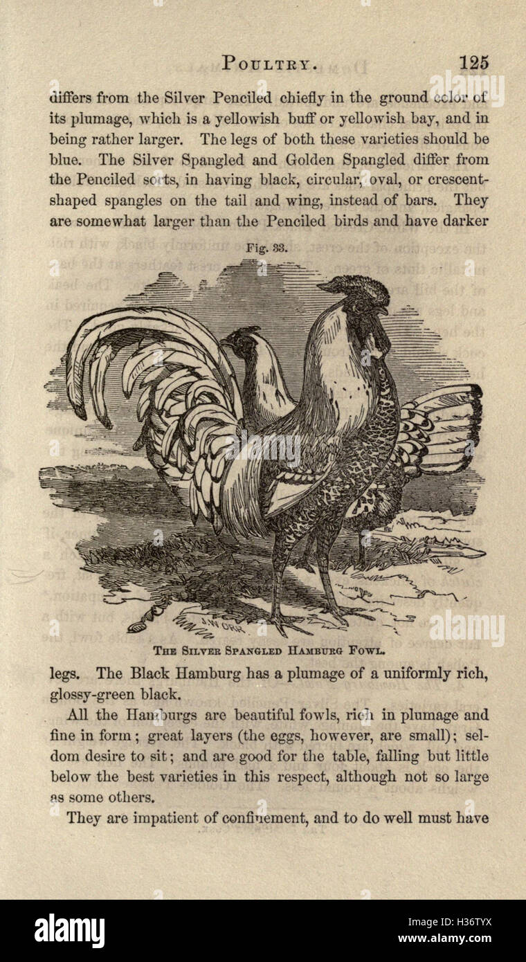 This work provides an overview of domestic animals, their roles in ...