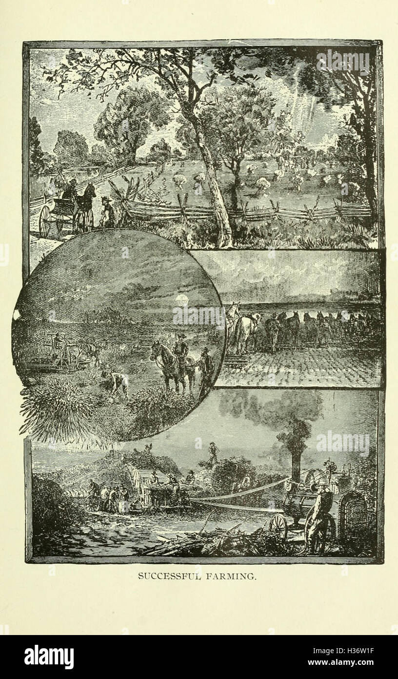 This comprehensive guide offers remedies for common household ailments ...