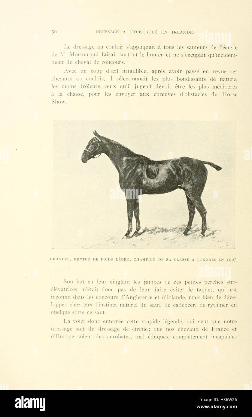 This work explores free dressage techniques for jumping horses ...