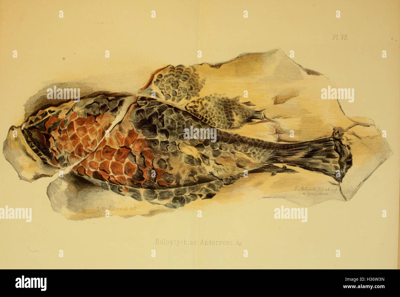 A detailed scientific illustration of the Dura Den, a significant ...