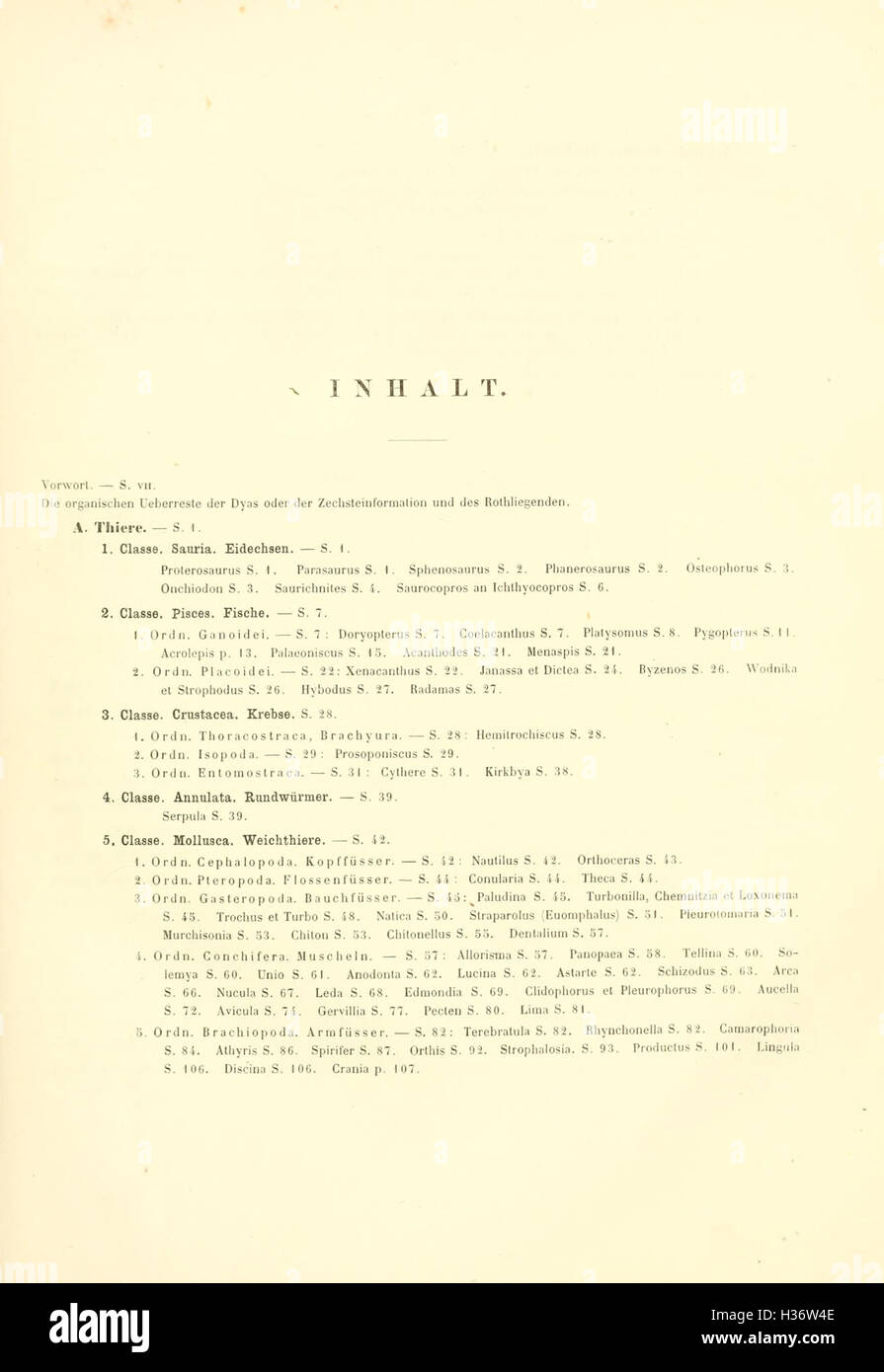 This geological study addresses the Dyas or Zechstein formation and the ...